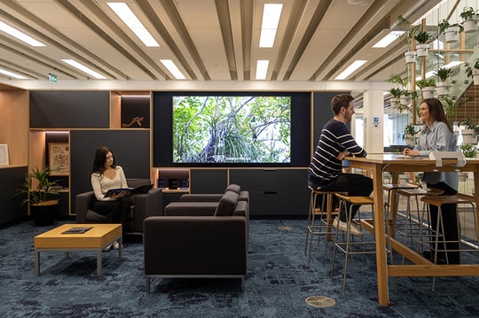 Project - Tonkin + Taylor, Auckland