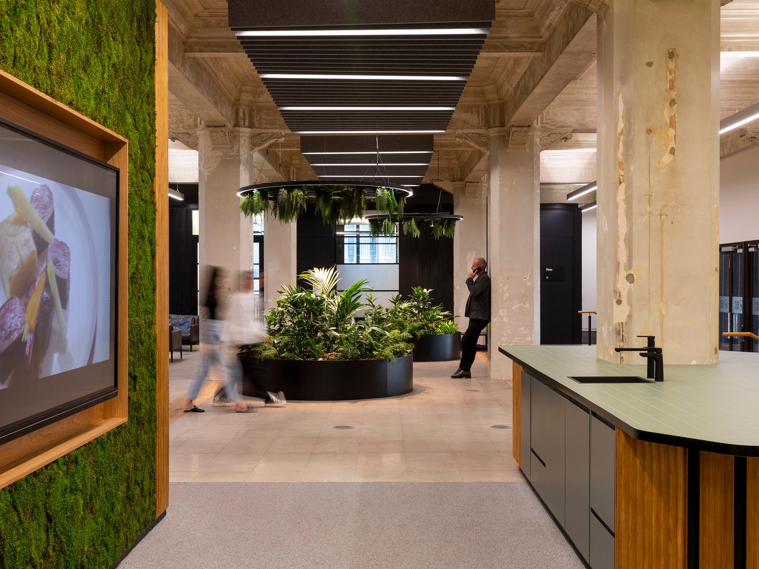 Project - Silver Fern Farms